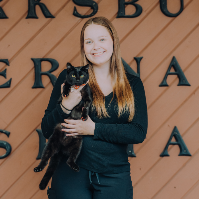 Veterinarian In Clarksburg, WV 26301 | Clarksburg Veterinary Hospital